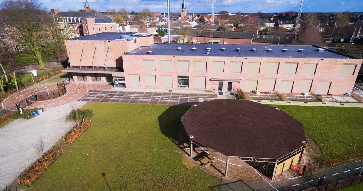 Public primary school De Vlinder spreads its digital… | CTOUCH Global